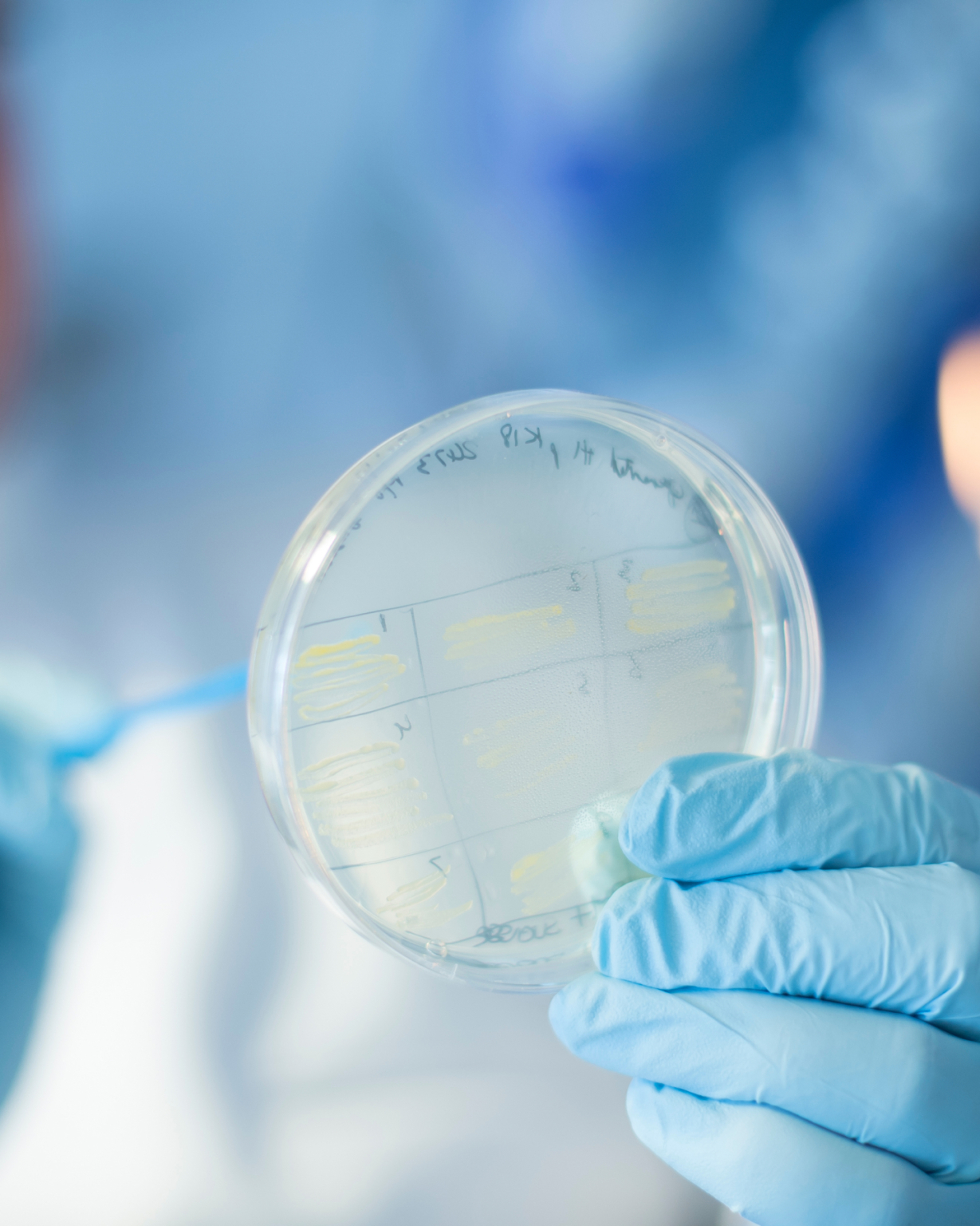 Midlands Innovation: An Innovative Research Partnership